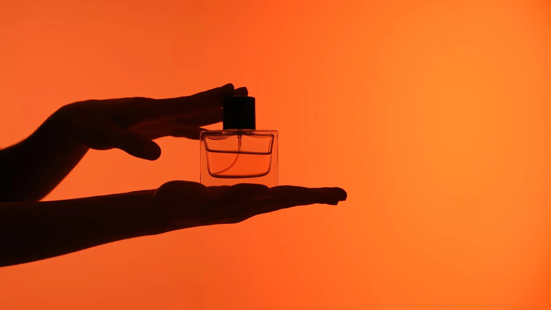 Perfume 101: A Beginner's Complete Guide – Zermat USA