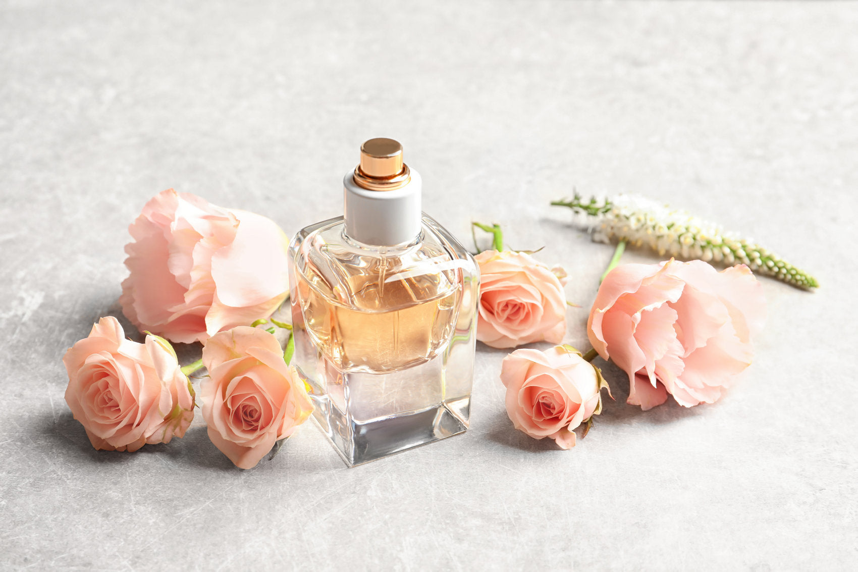 Fragrance Families: A Fragrance Notes Simple Guide to Finding Your Sty ...